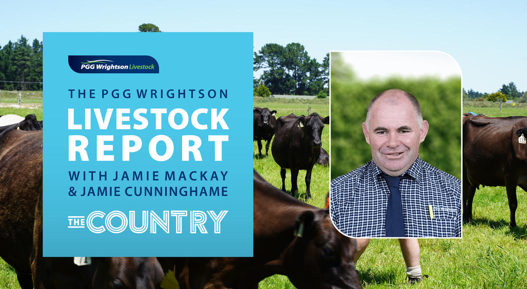 Livestock News | PGG Wrightson